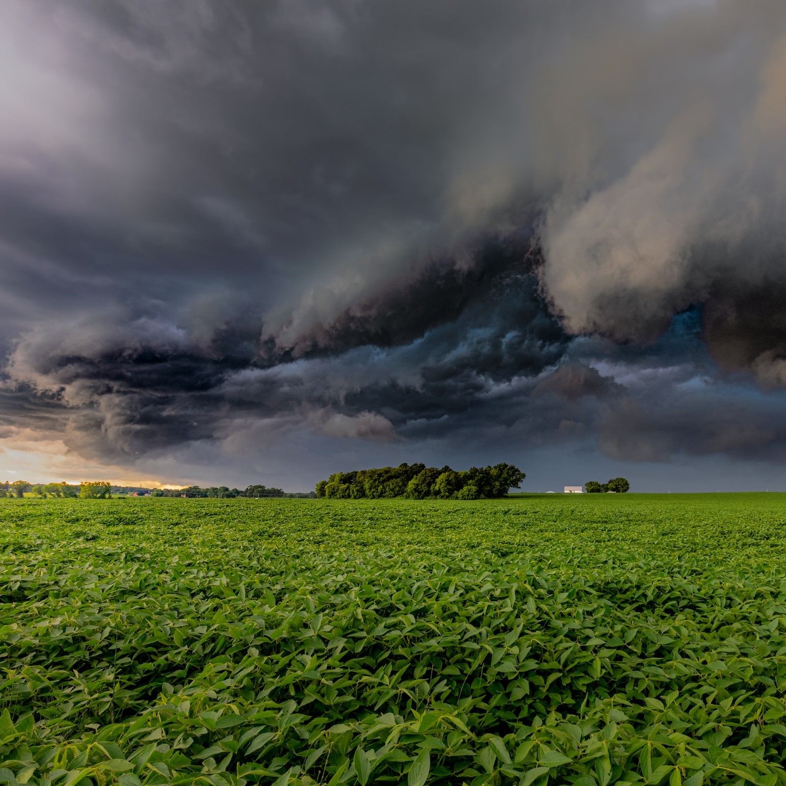 PG Calc Home | PG Calc